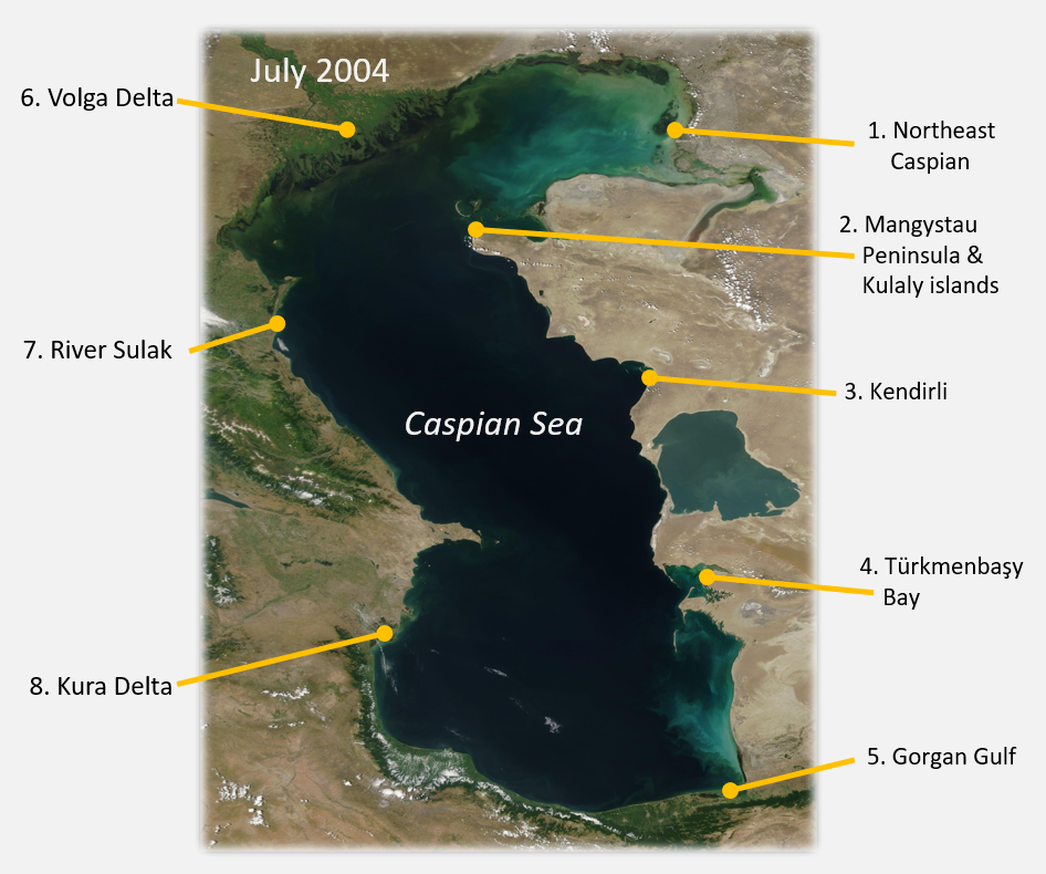 Tracking Caspian Sea level decline in satellite imagery – Goodman ...